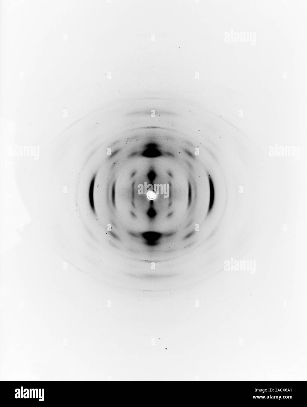 Chitin structure. X-ray crystallography diffraction pattern obtained as ...