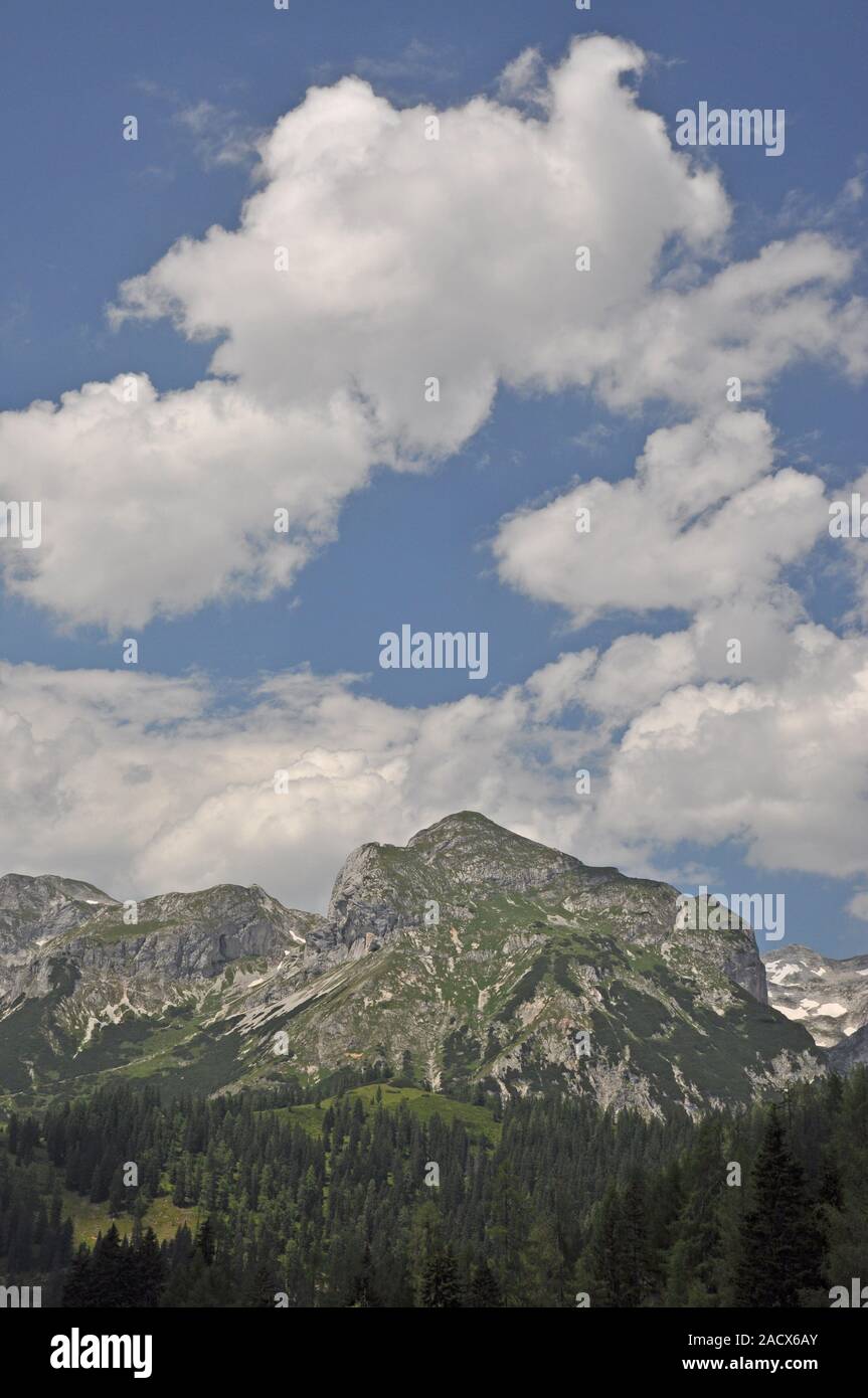 Tennen hi-res stock photography and images - Alamy