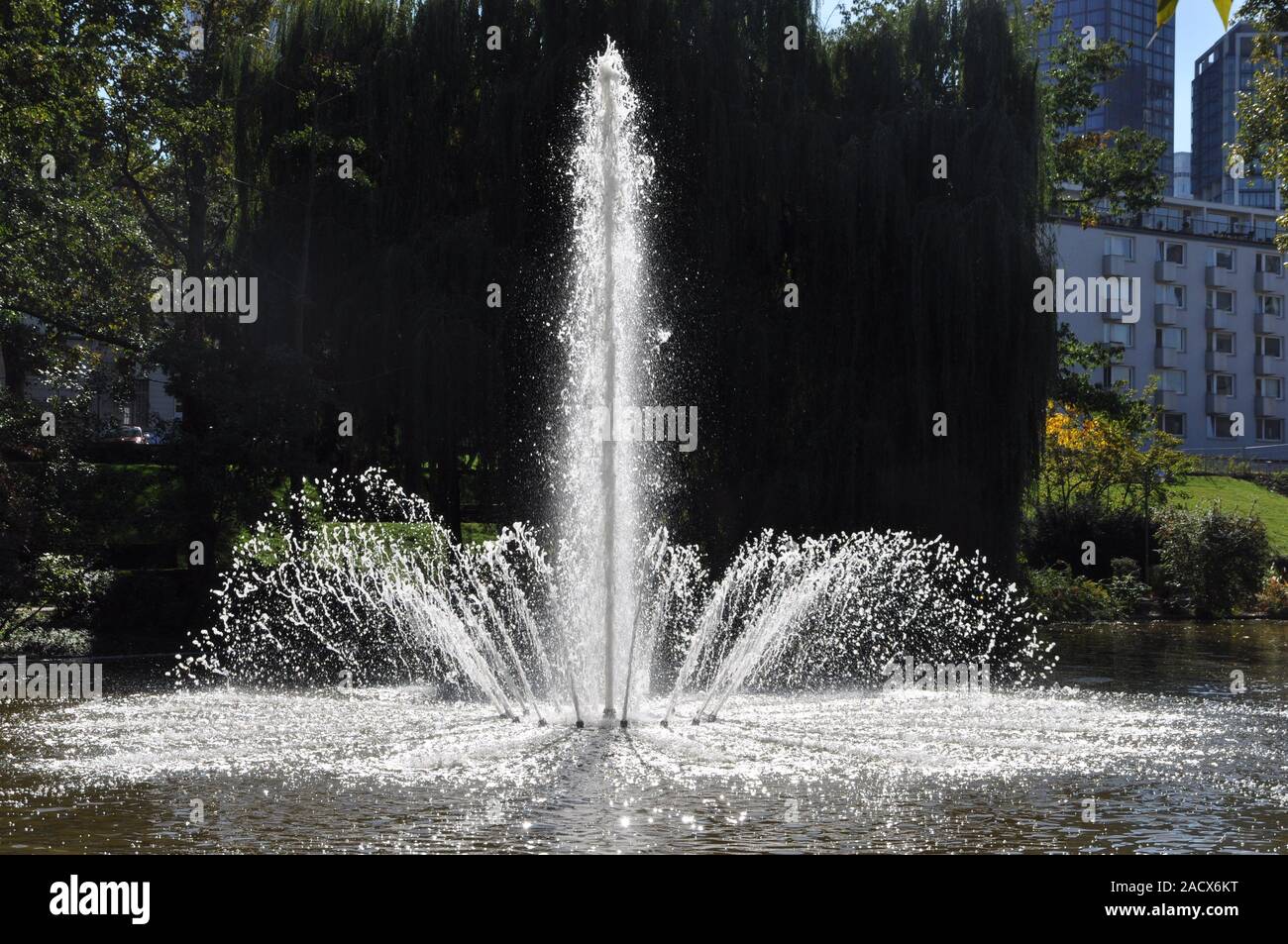 Springbrunnen in Frankfurt Stock Photo - Alamy