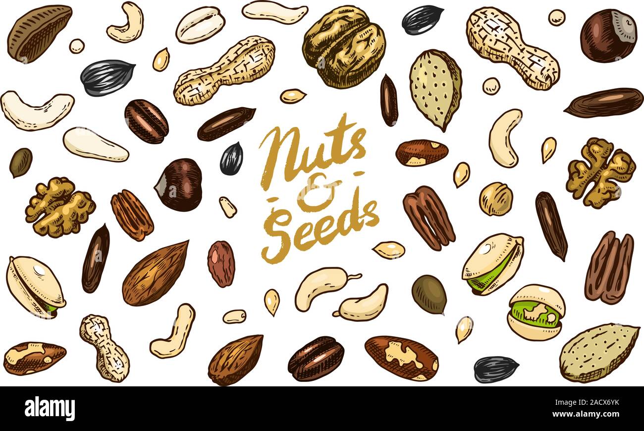 Nuts mix background. Seeds and granule, corn and grain. Hazelnut ...