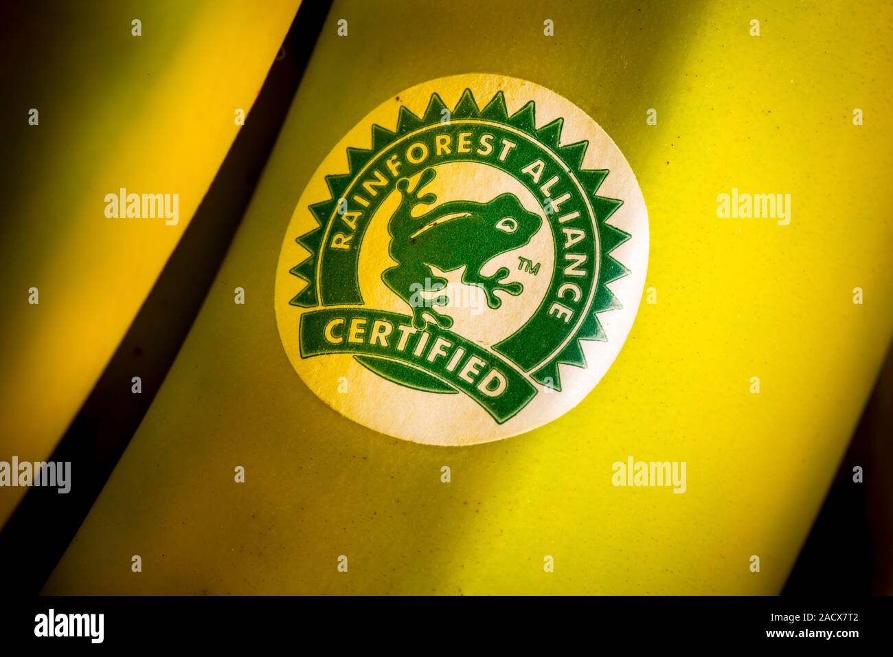 Rainforest Alliance label on bananas. It is a non-governmental ...