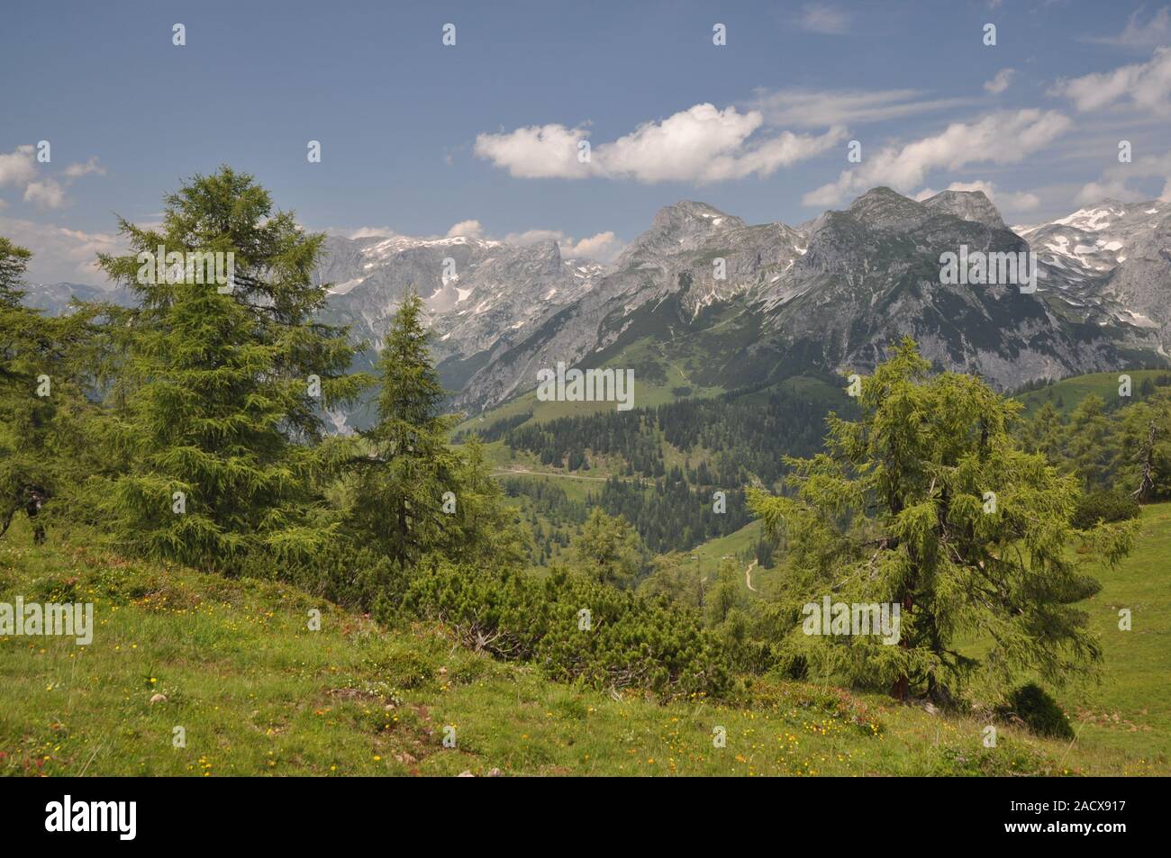 Tennen hi-res stock photography and images - Alamy