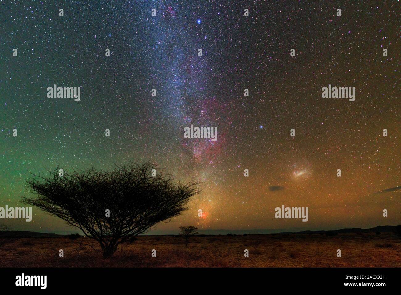 Starry night sky over a savanna. Visible are the Large Magellanic Cloud ...