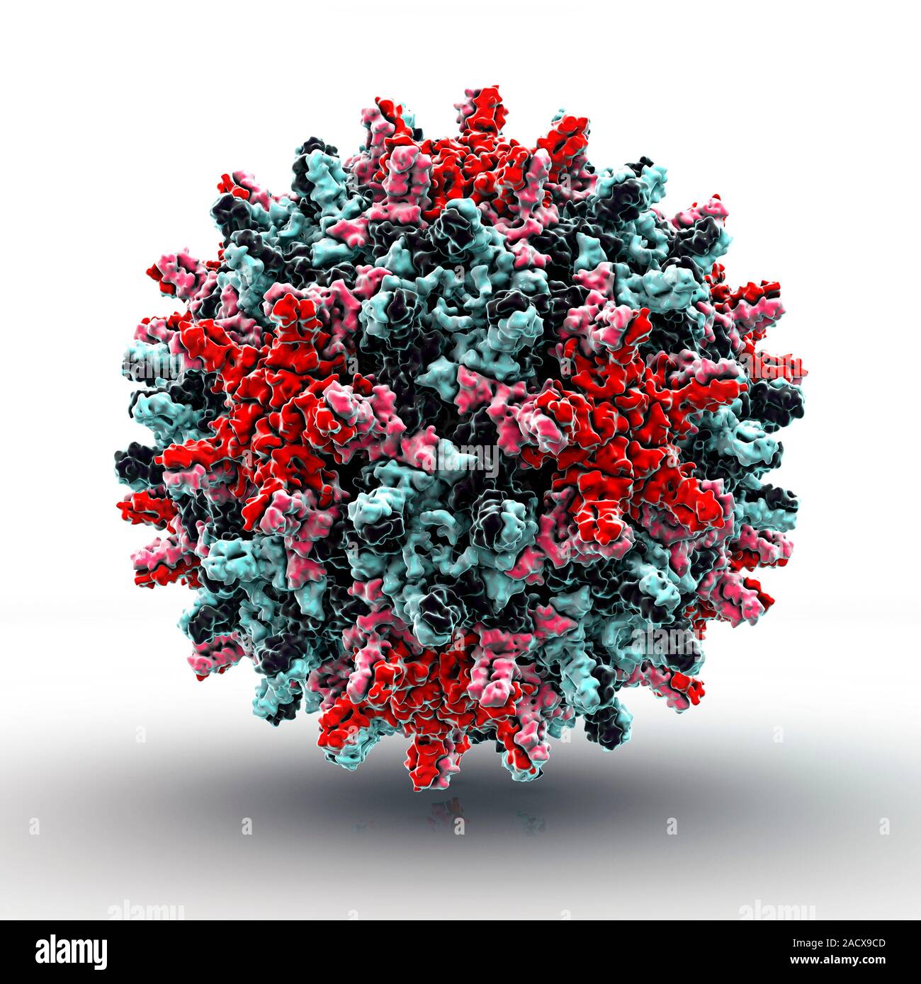 Hepatitis B virus (HBV) particle, computer artwork. HBV particles ...