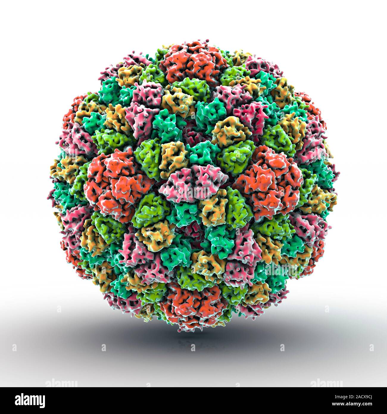 Bacteriophage particle, computer artwork. Bacteriophages are viruses that infect bacteria ...