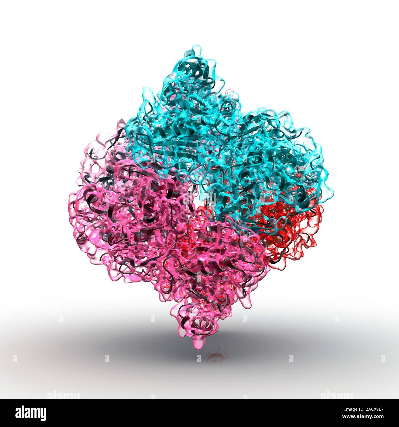 Insulin molecule, computer artwork. Insulin is produced in the beta ...