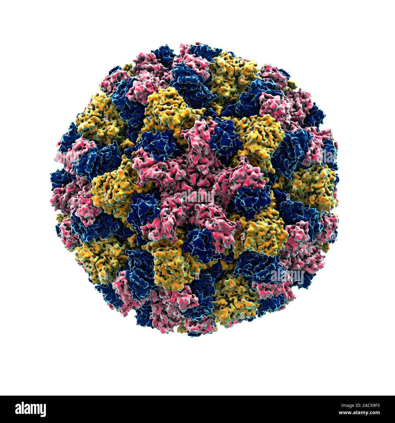 Norovirus particle, computer artwork. Norovirus particles (virions ...