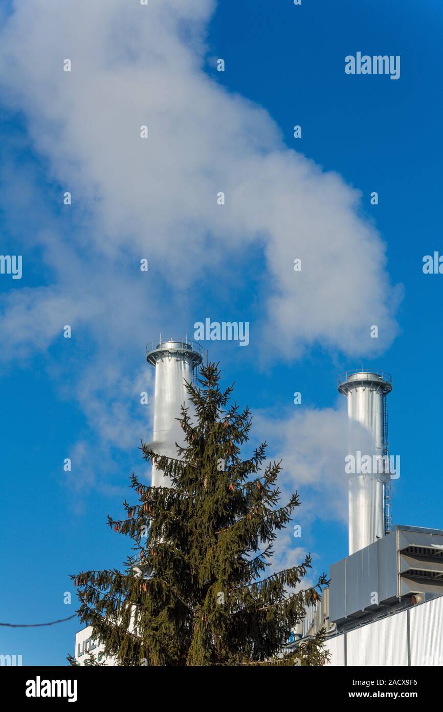 Chimney tree hi-res stock photography and images - Alamy