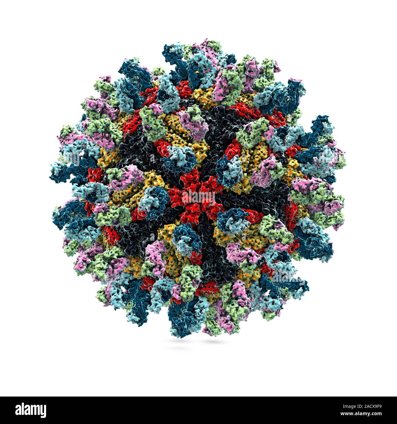 West Nile virus (WNV) particle, computer artwork. WNV particles ...