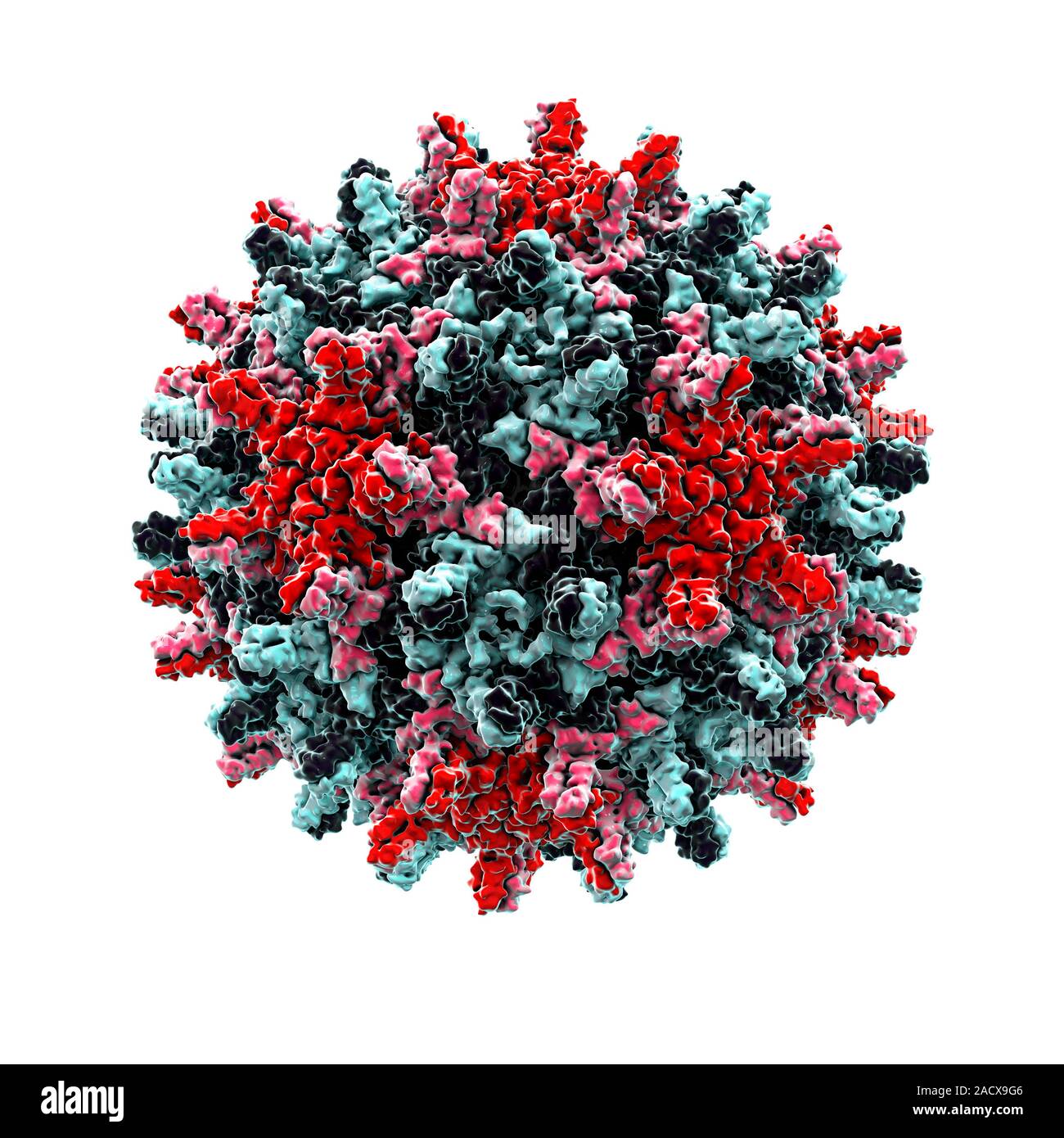 Hepatitis B virus (HBV) particle, computer artwork. HBV particles ...