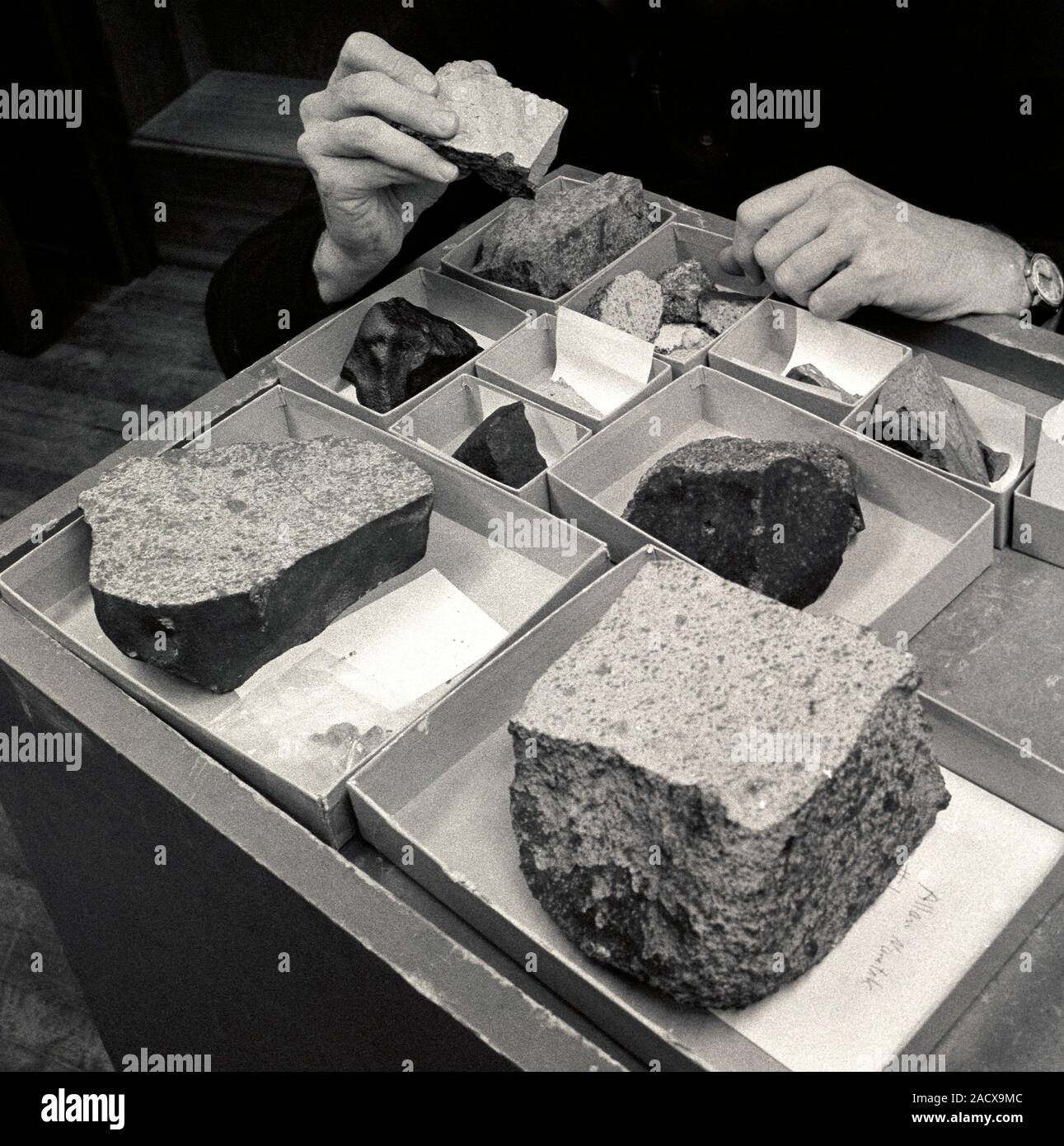 Display of meteorites from Antarctica. Astronomer and Earth scientist ...