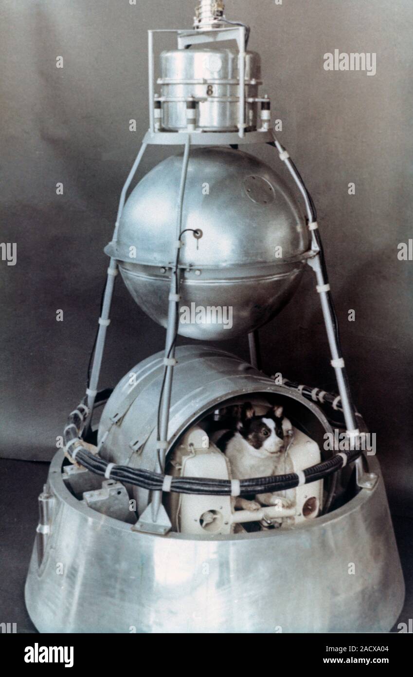 Scale model of the Soviet Sputnik 2 spacecraft. Sputnik 2 was the ...