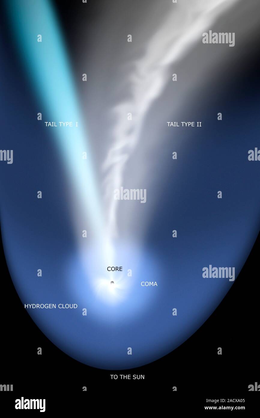 Labelled illustration of a comet. A comet is an icy body in our Solar ...