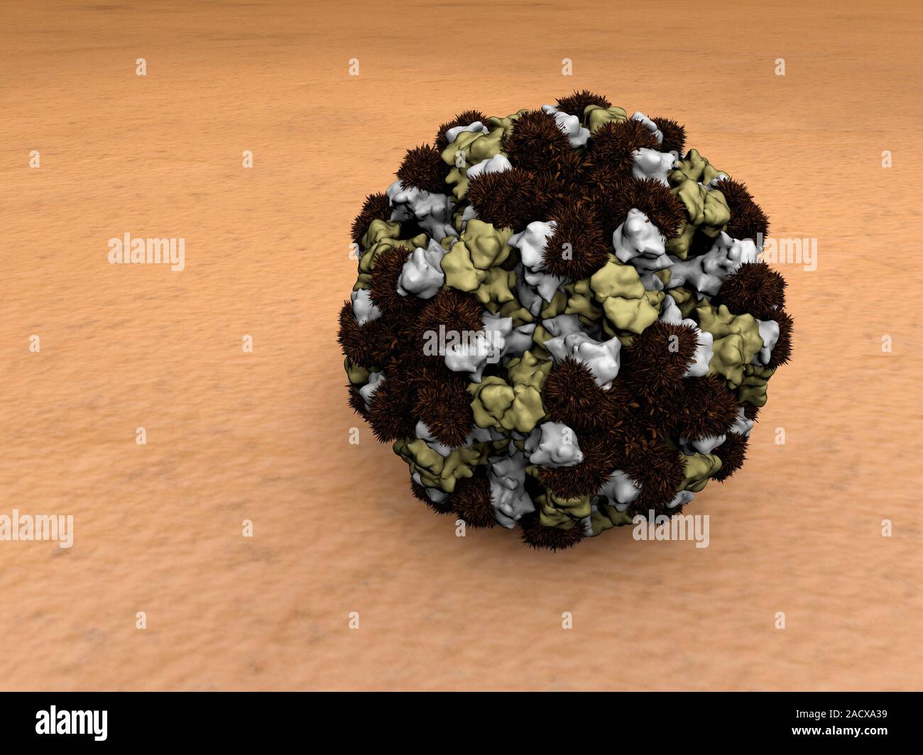 Norovirus particles, computer artwork. Norovirus particles (virions ...
