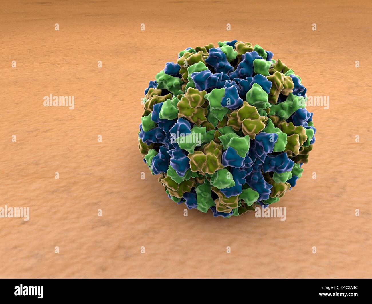 Norovirus particles, computer artwork. Norovirus particles (virions ...