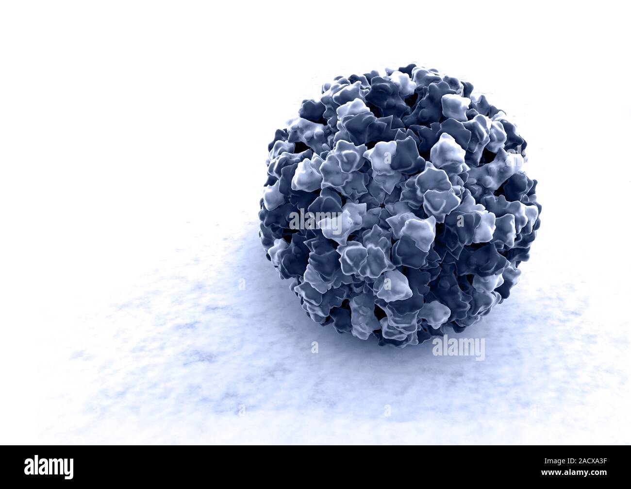 Norovirus particles, computer artwork. Norovirus particles (virions ...
