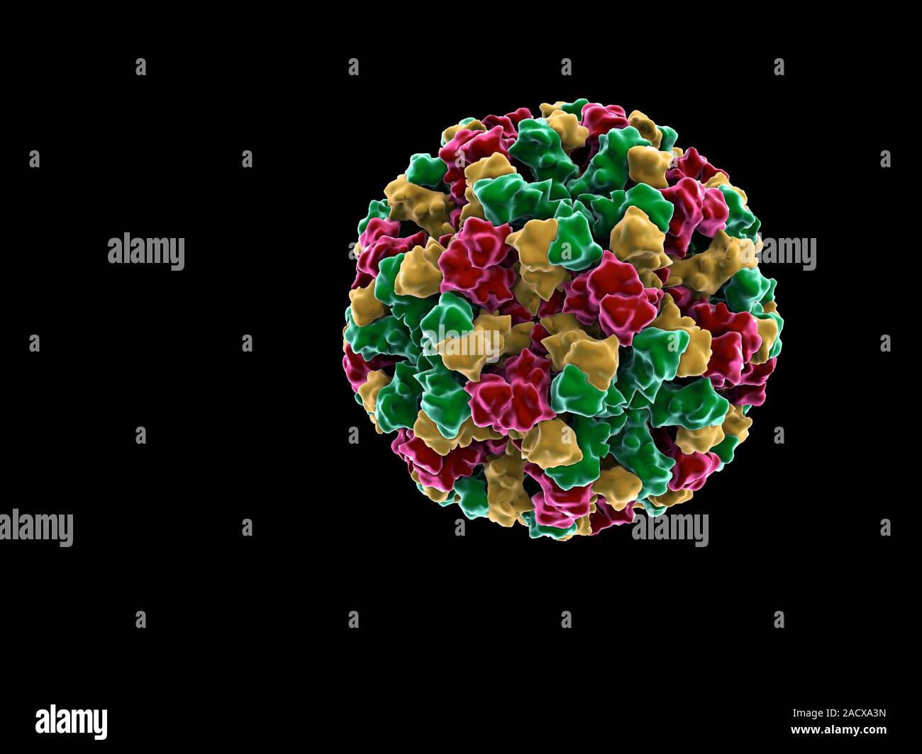 Norovirus particles, computer artwork. Norovirus particles (virions ...