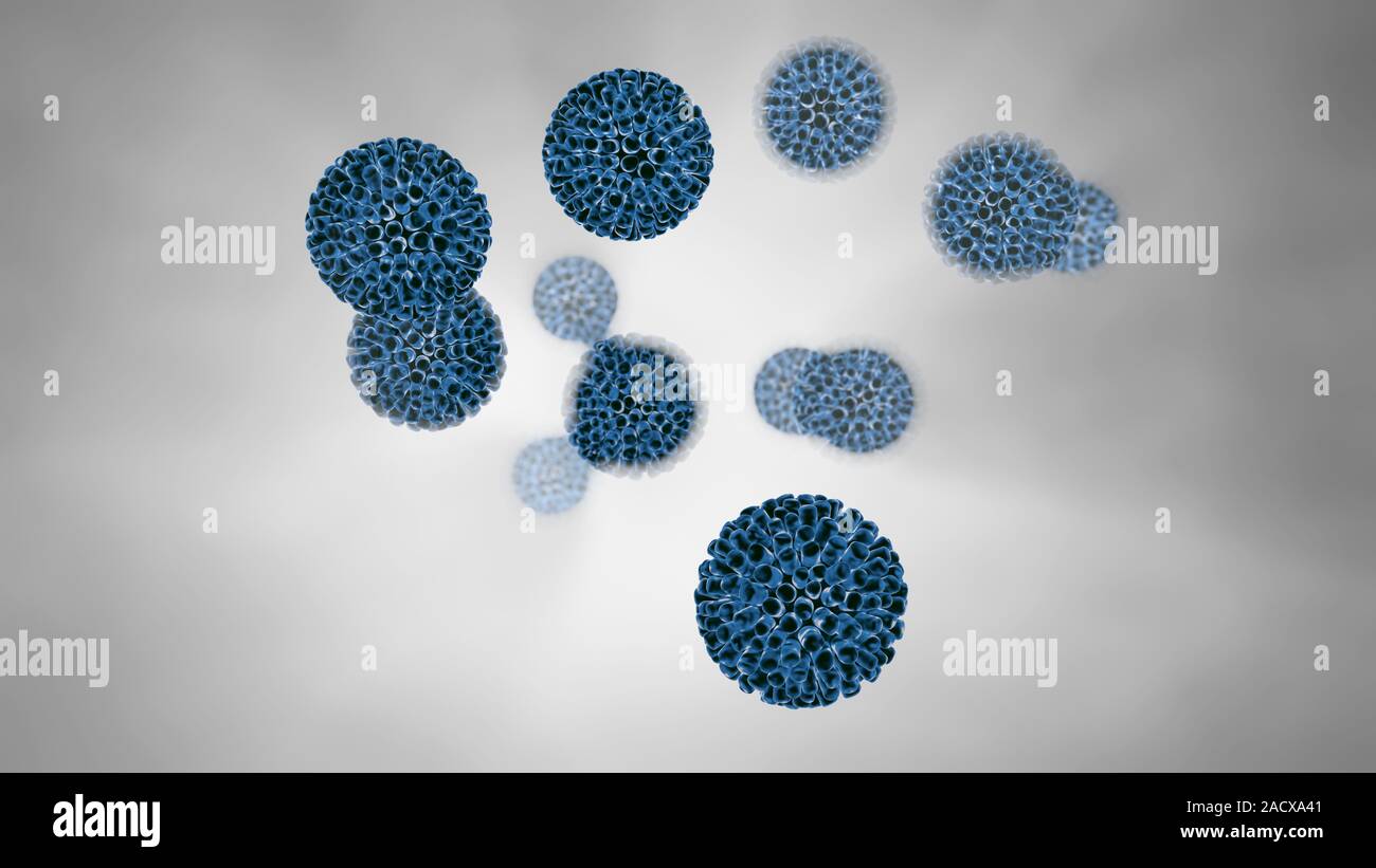 Virus particles, computer artwork. Virus particles (virions) consist of ...