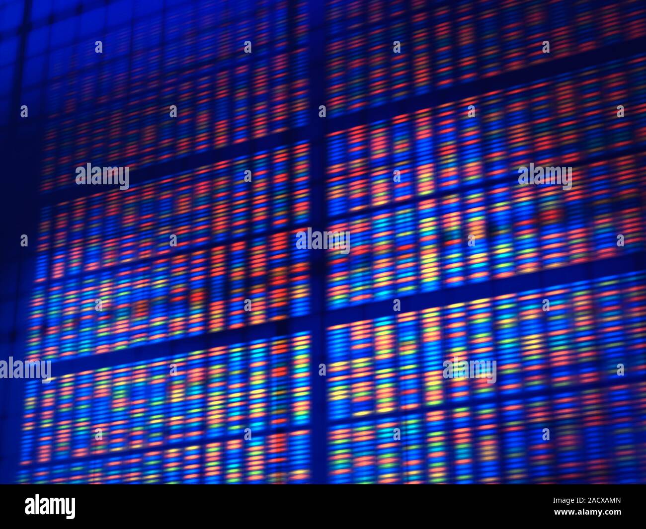 DNA microarray, computer artwork. DNA (deoxyribonucleic acid ...