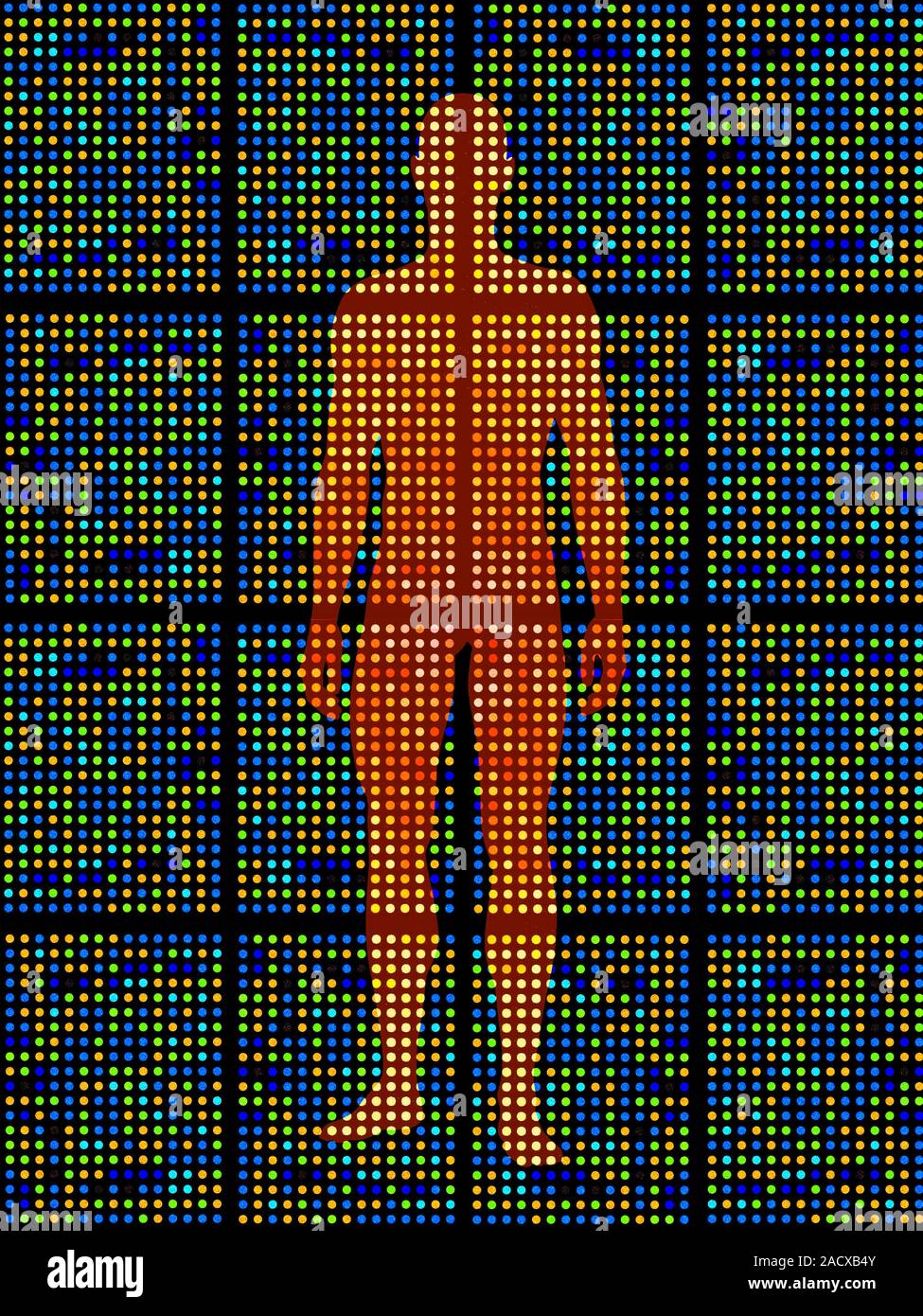 Genetic research. Computer artwork showing a human figure and dots ...