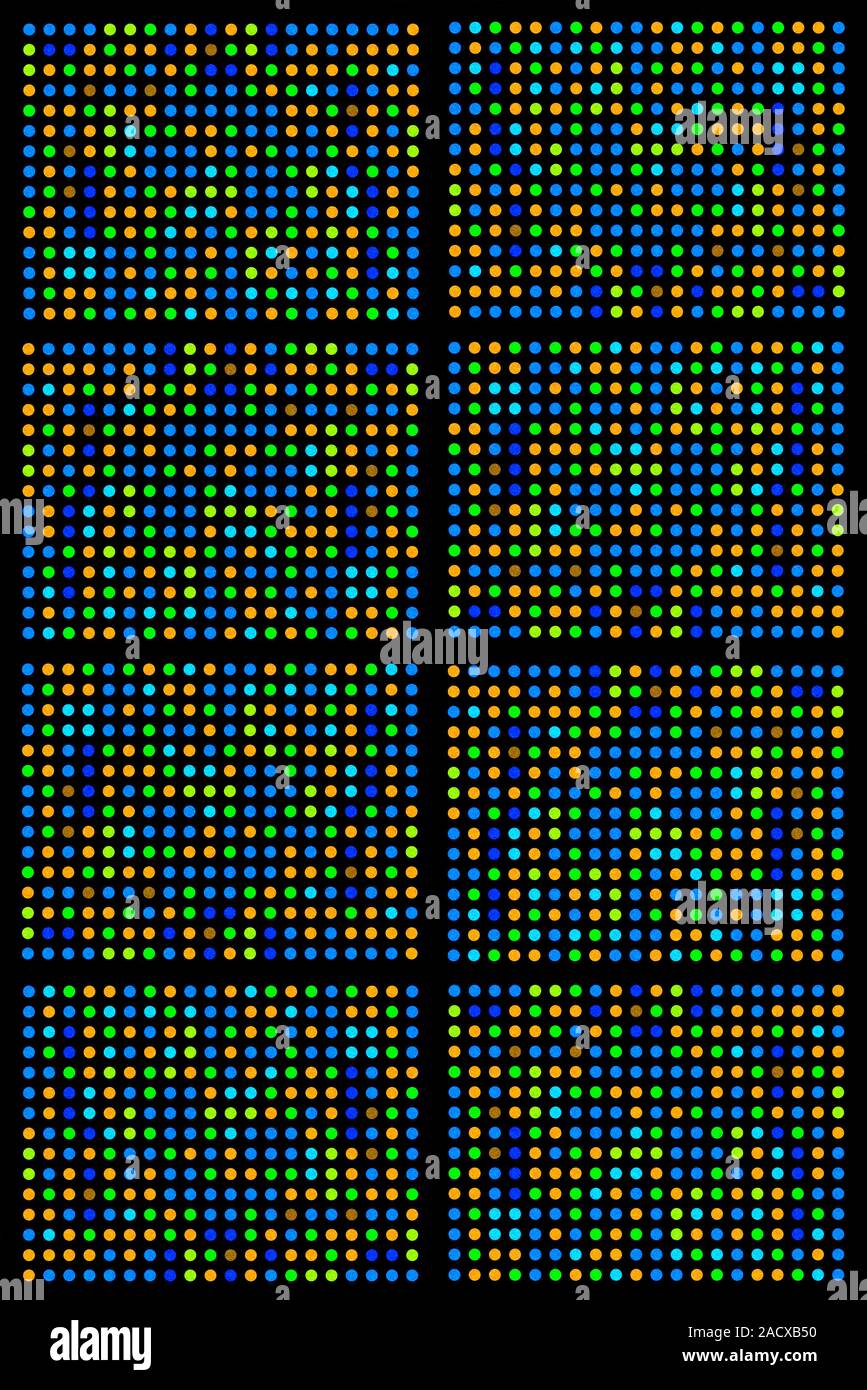 Genetic research. Computer artwork of dots representing a DNA ...