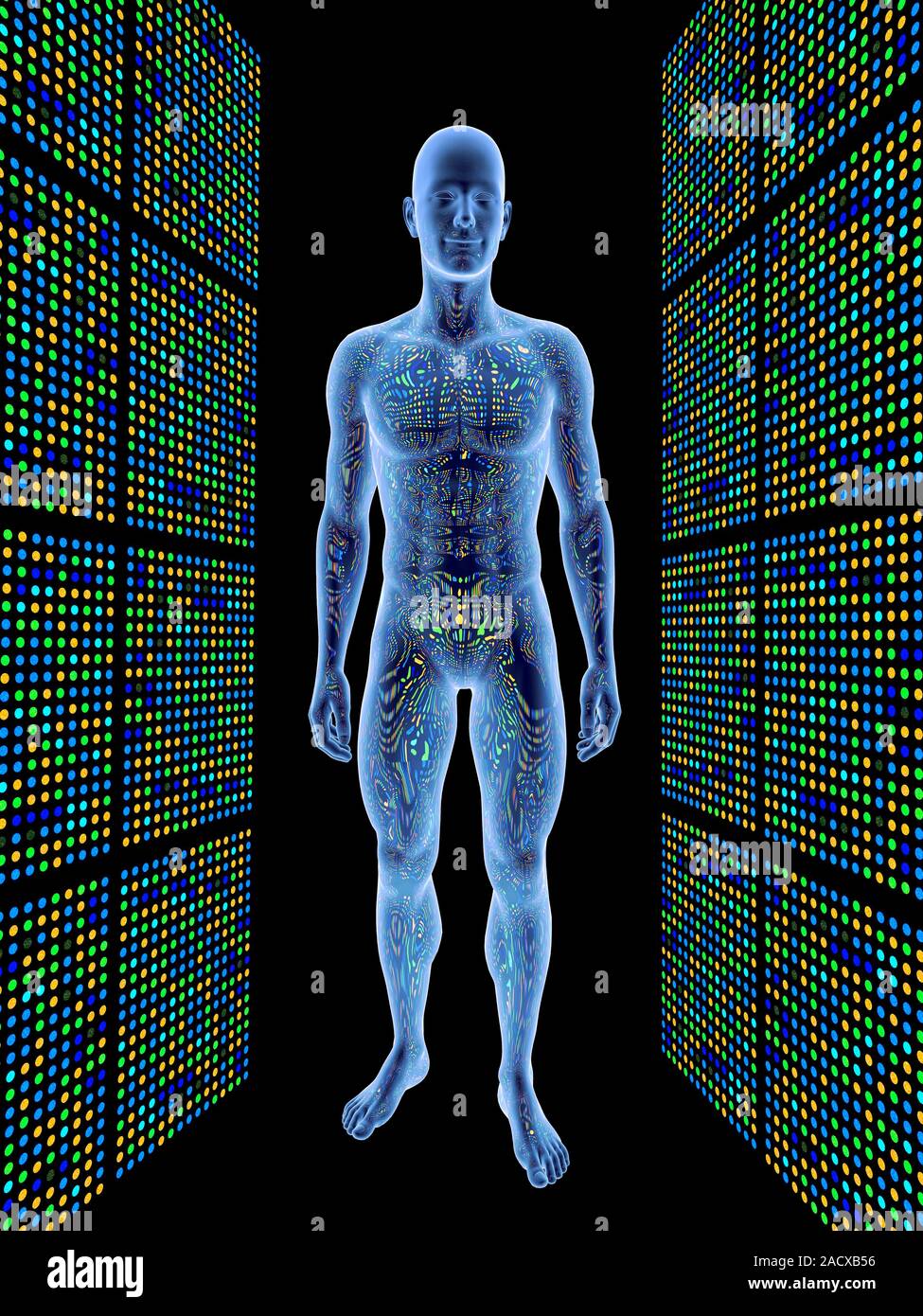Genetic research. Computer artwork showing a male figure within DNA ...
