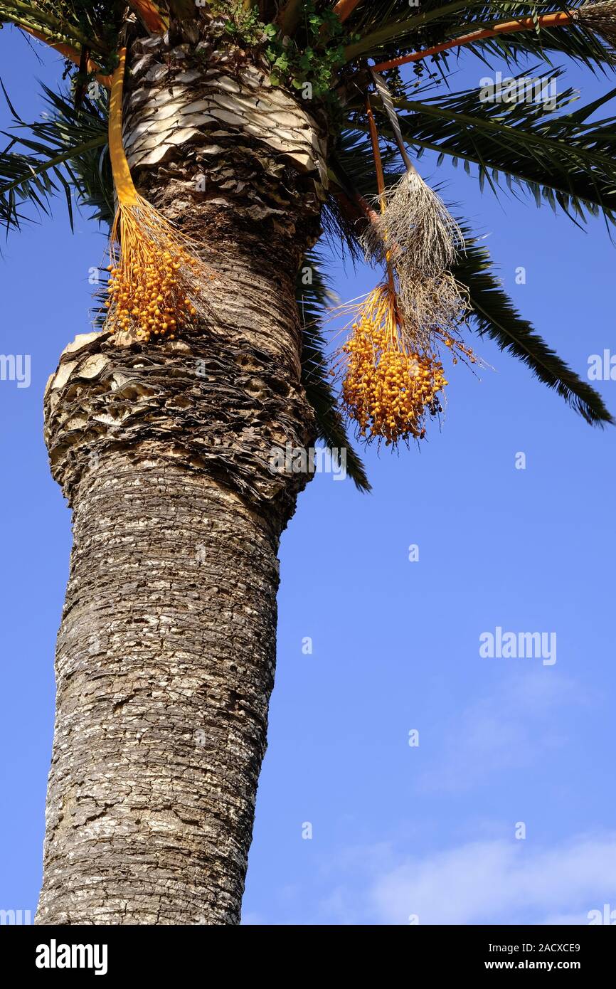 Fruit stands hi-res stock photography and images - Alamy