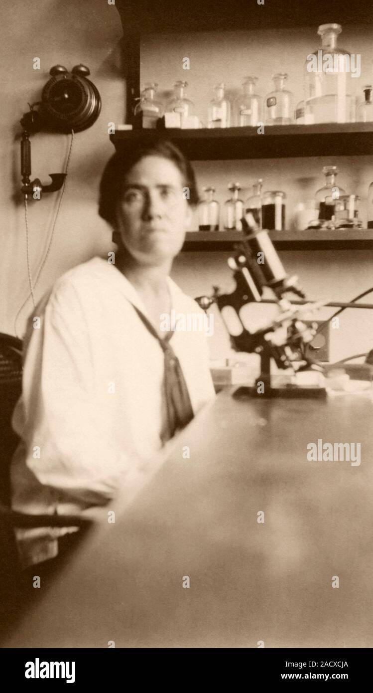 Estella Eleanor Carothers (1882-1957), US geneticist zoologist and ...