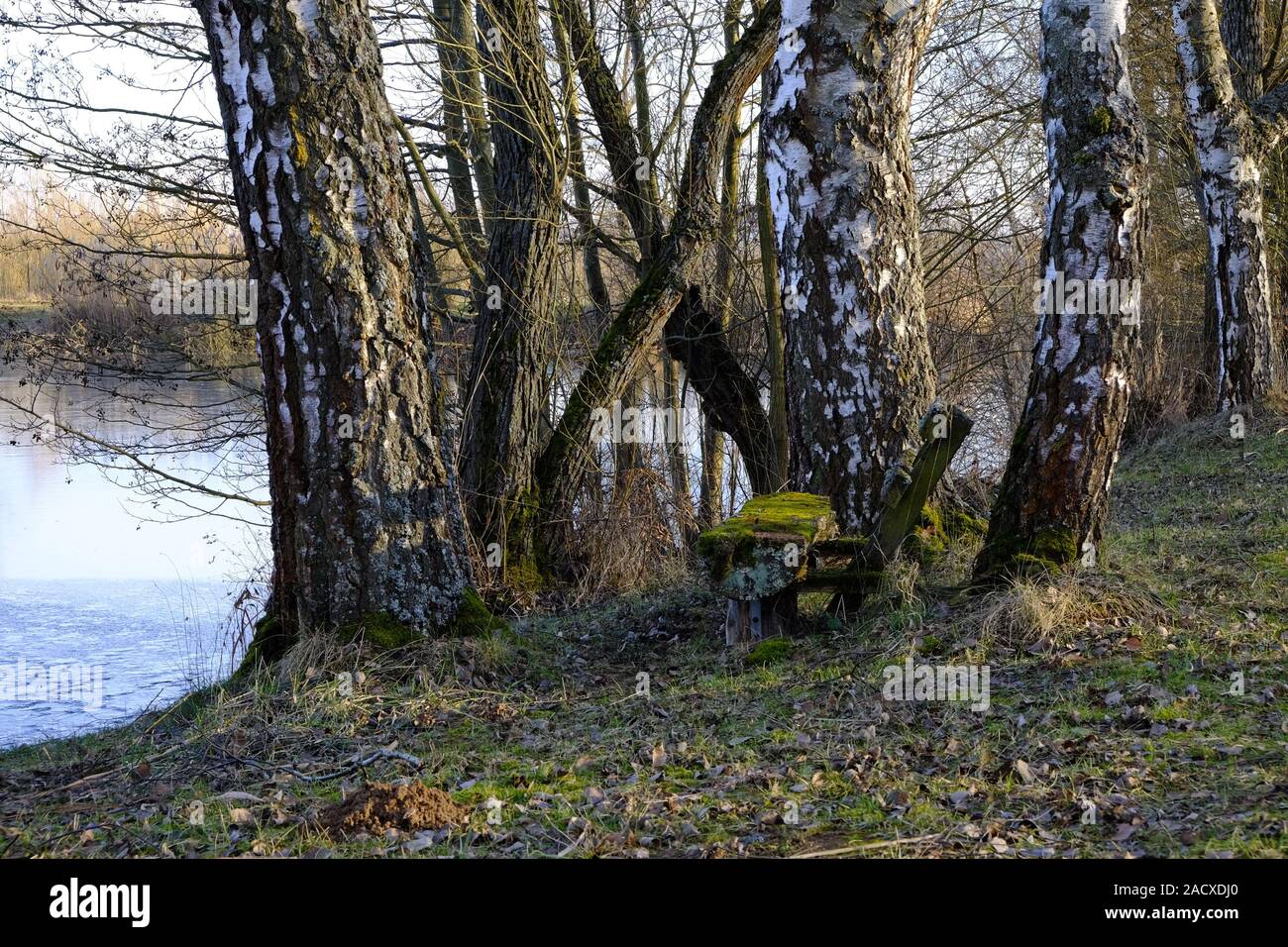Trees schweinfurt hi-res stock photography and images - Alamy