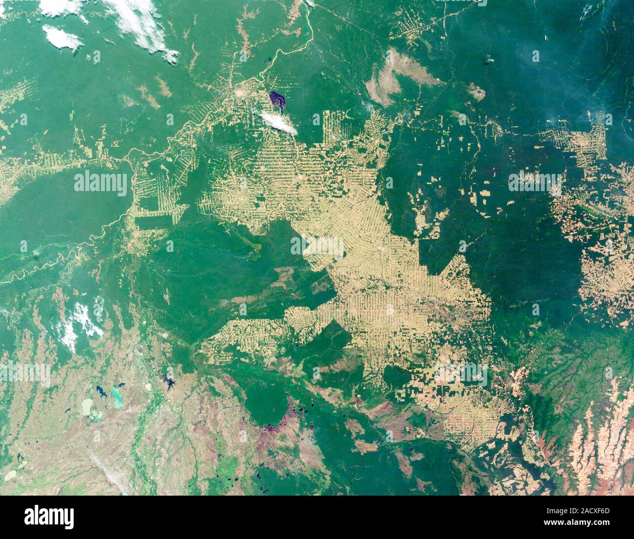 Amazon Rainforest Deforestation Satellite