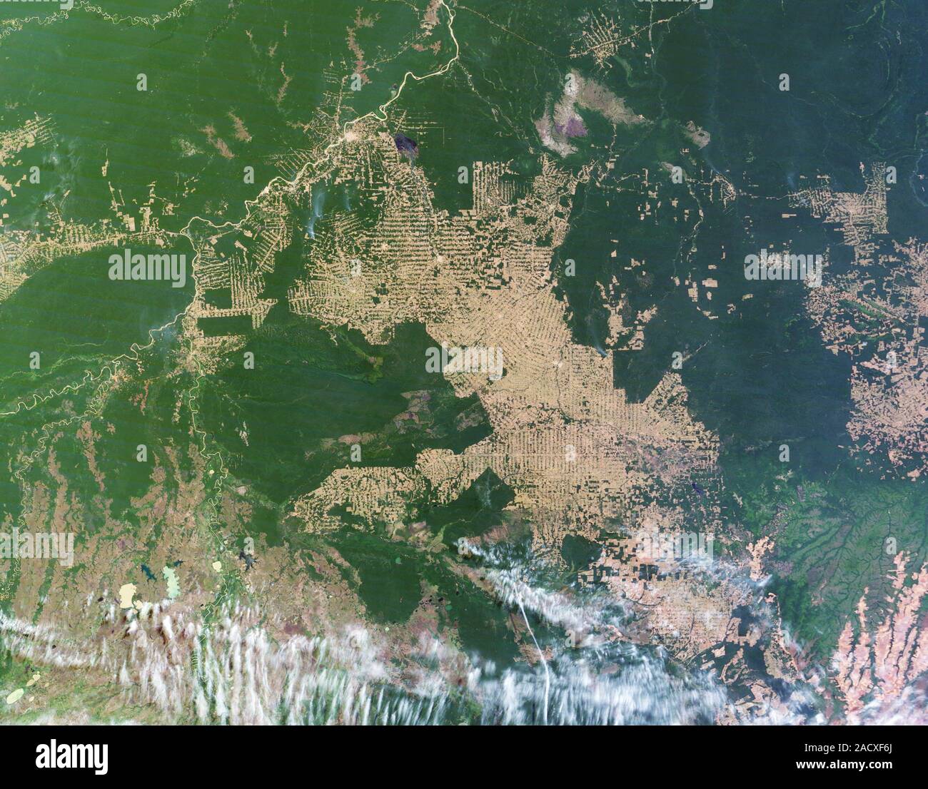 Amazon Rainforest Deforestation Satellite