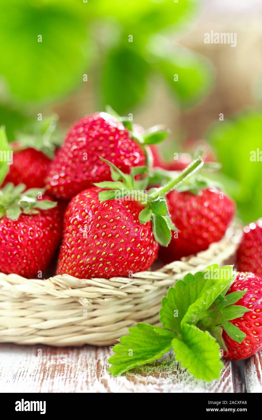The strawberry hi-res stock photography and images - Alamy