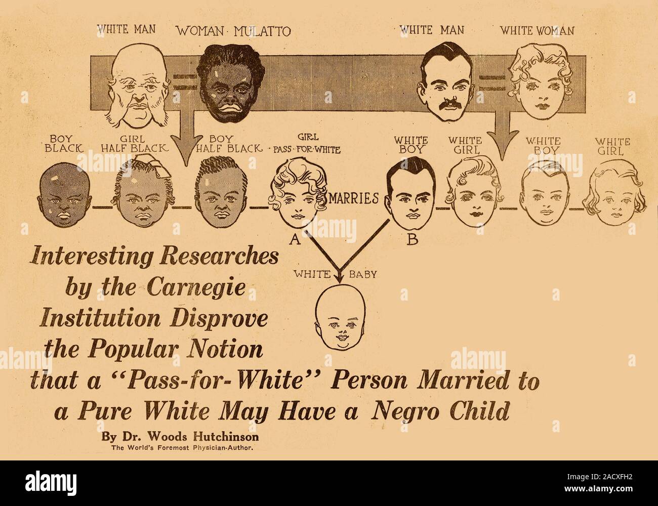 Eugenics research. Heredity chart showing the racial focus of eugenics ...