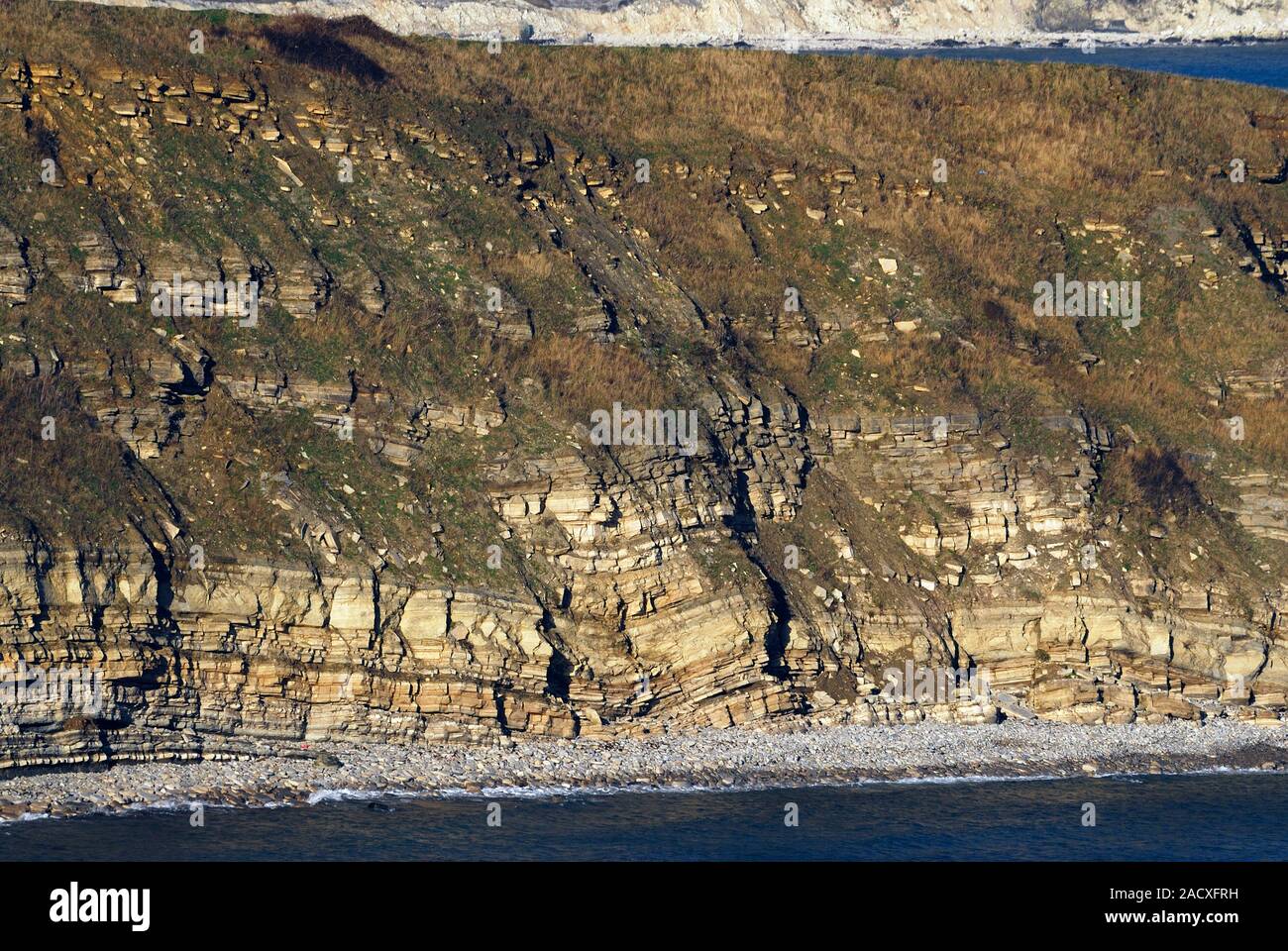 Durlston Cliff. Grass-covered layers of eroded sedimentary limestone ...