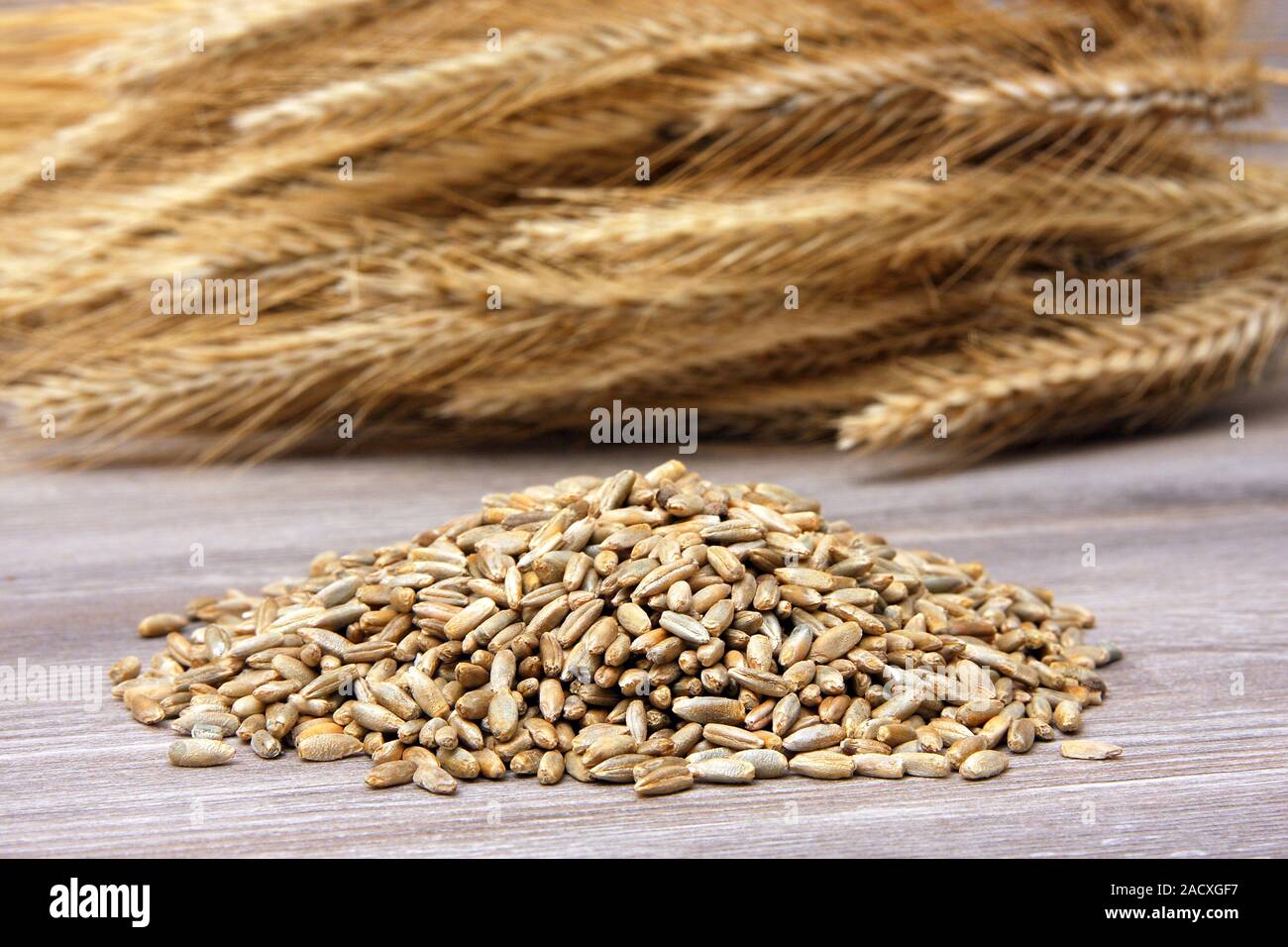 Seed rye hi-res stock photography and images - Alamy
