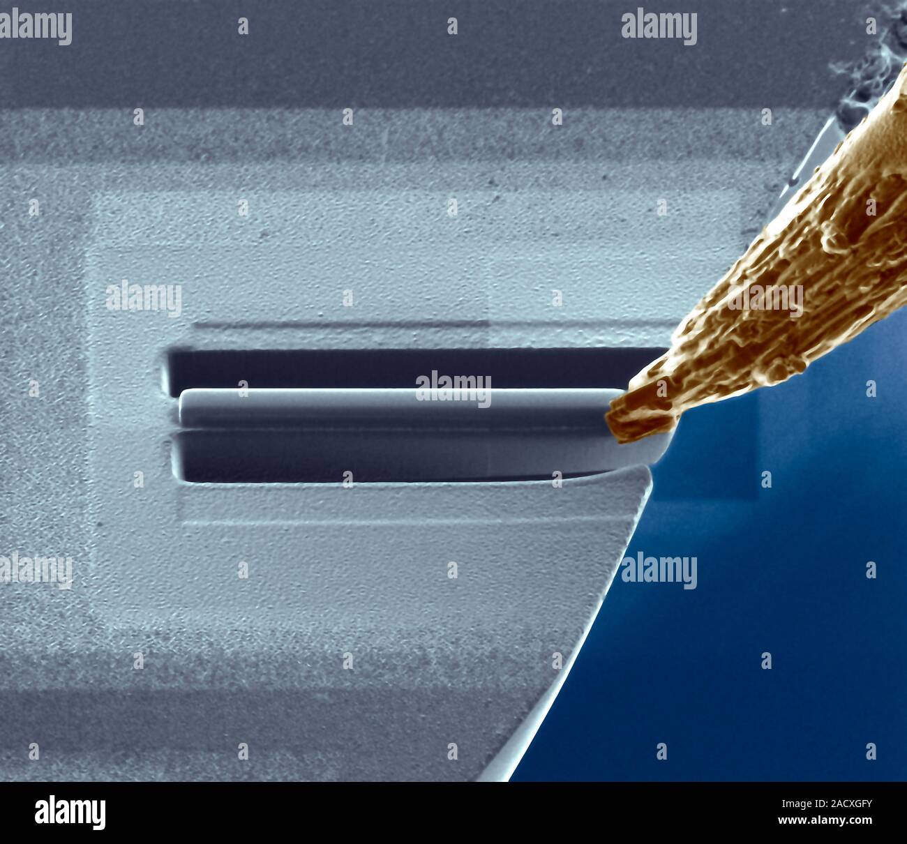 Coloured scanning electron micrograph (SEM) of a sample of aluminium ...