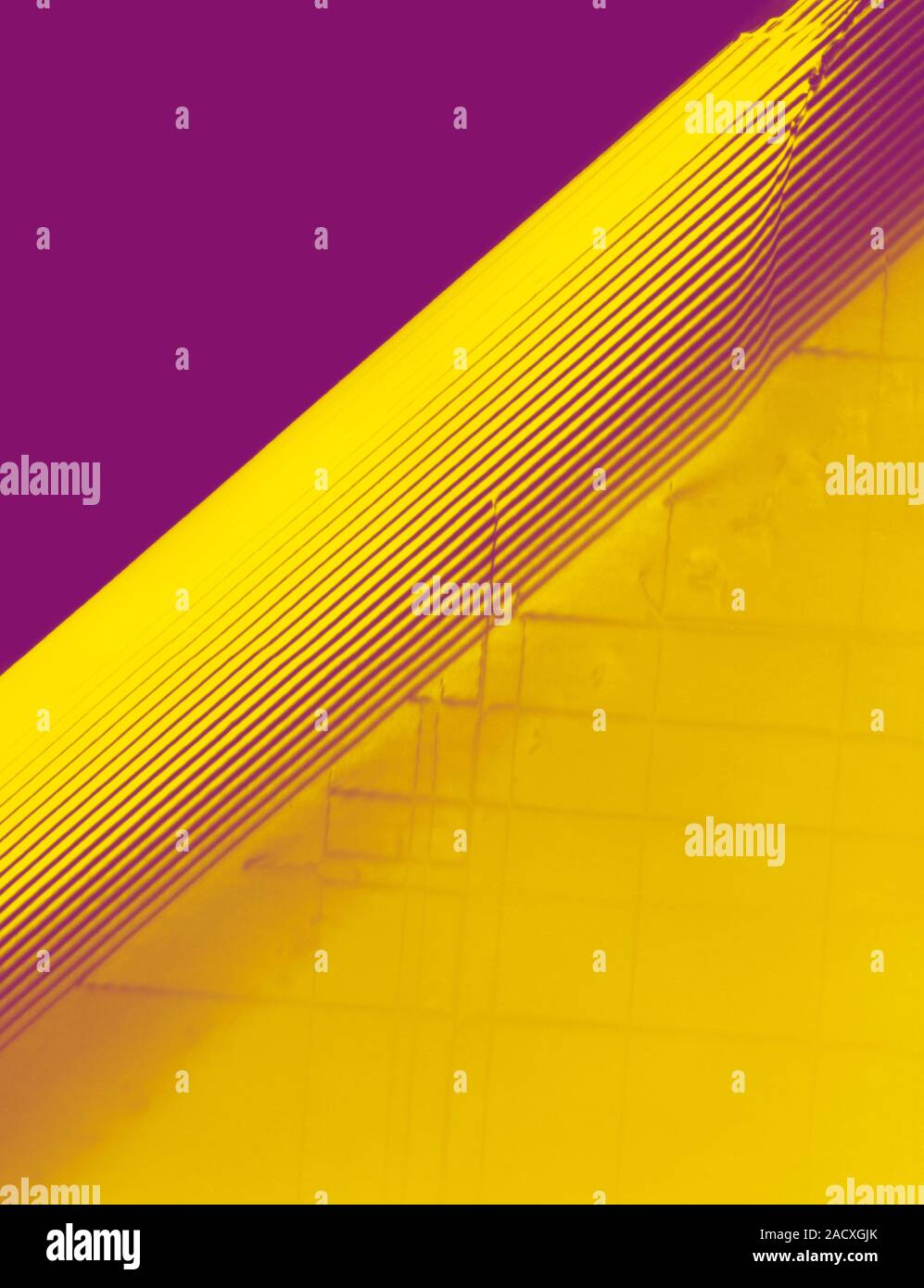 Cross section through a sample of indium gallium arsenide (InGaAs ...