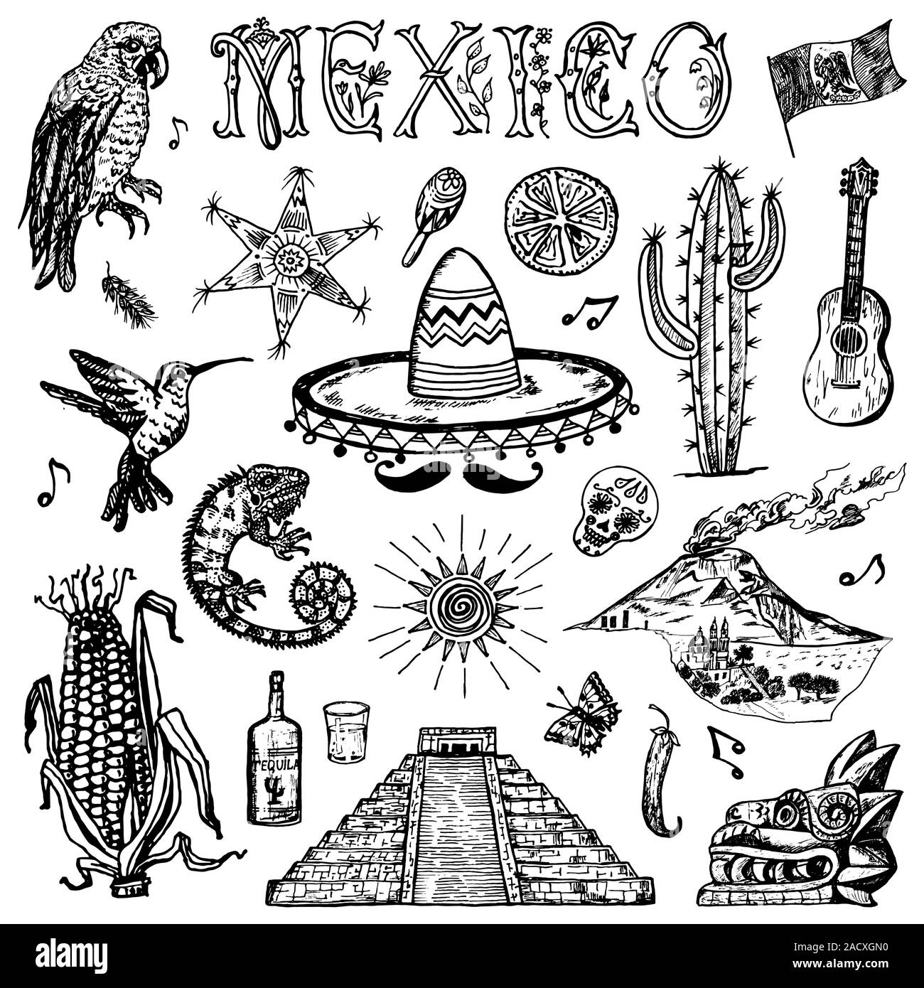 Mexico set in vintage style. Traditional national costume on a woman, animals, plants and ...