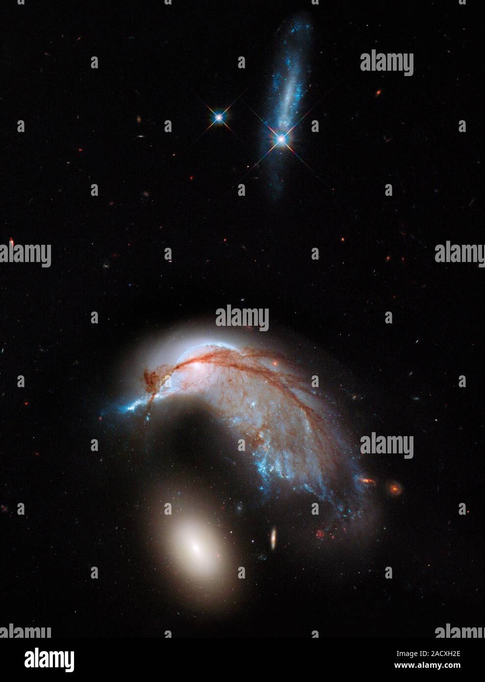 Hubble Space Telescope image of the Porpoise (or Penguin) Galaxy, NGC ...