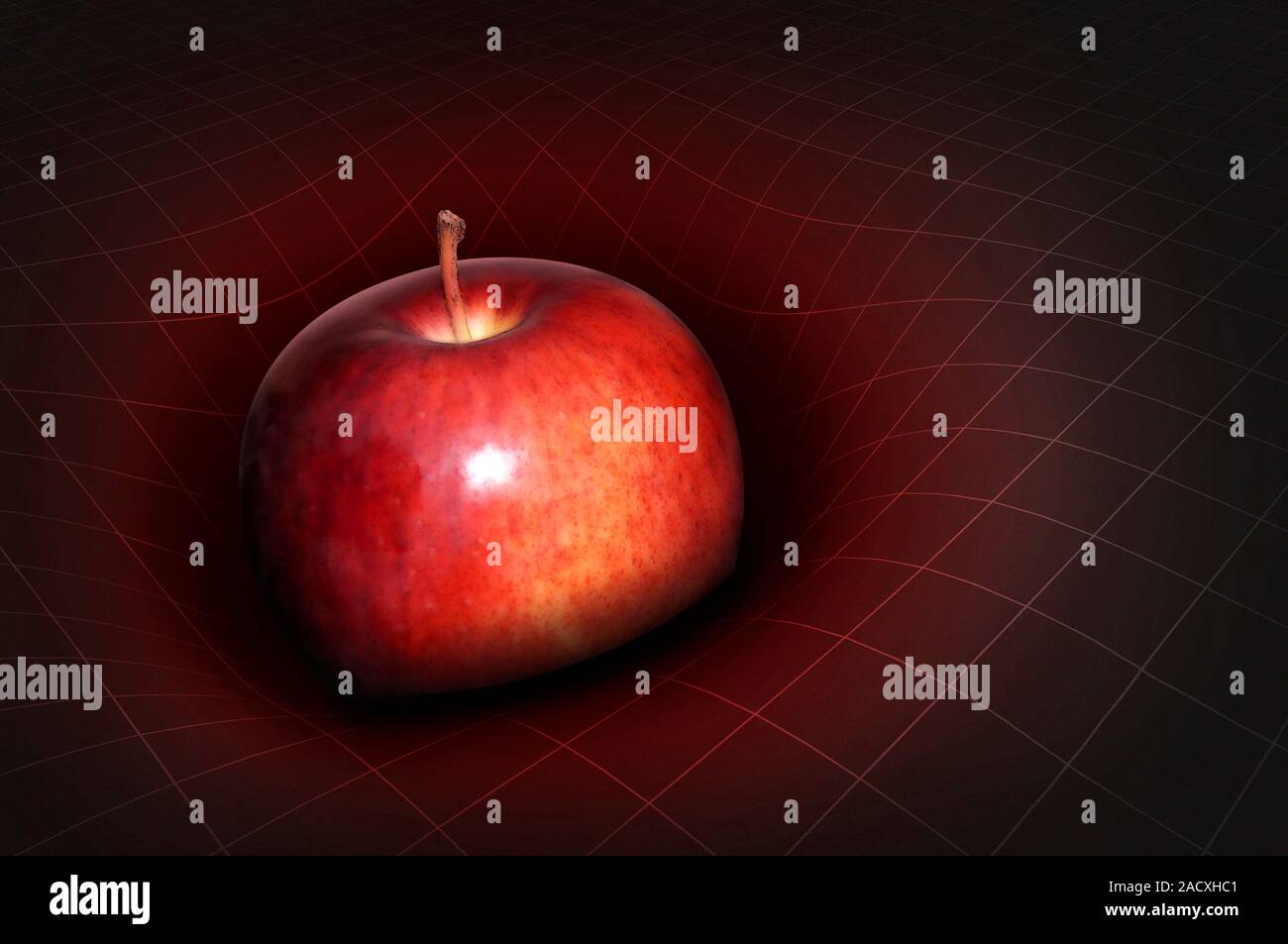 Artwork of an apple warping spacetime. It is said that Sir Isaac Newton ...