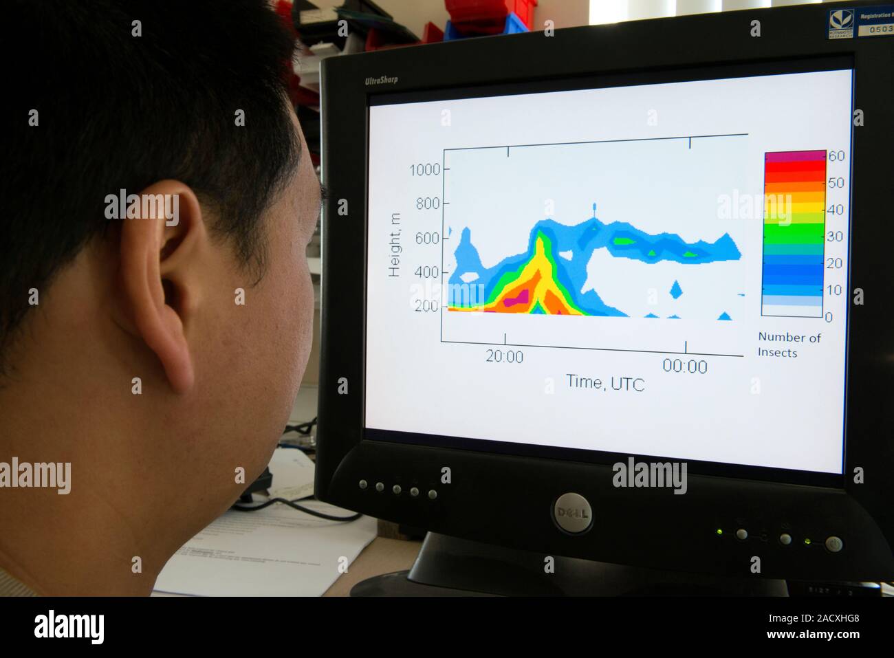 Insect radar research. Radar scientist Dr Jason Lim observing data from ...