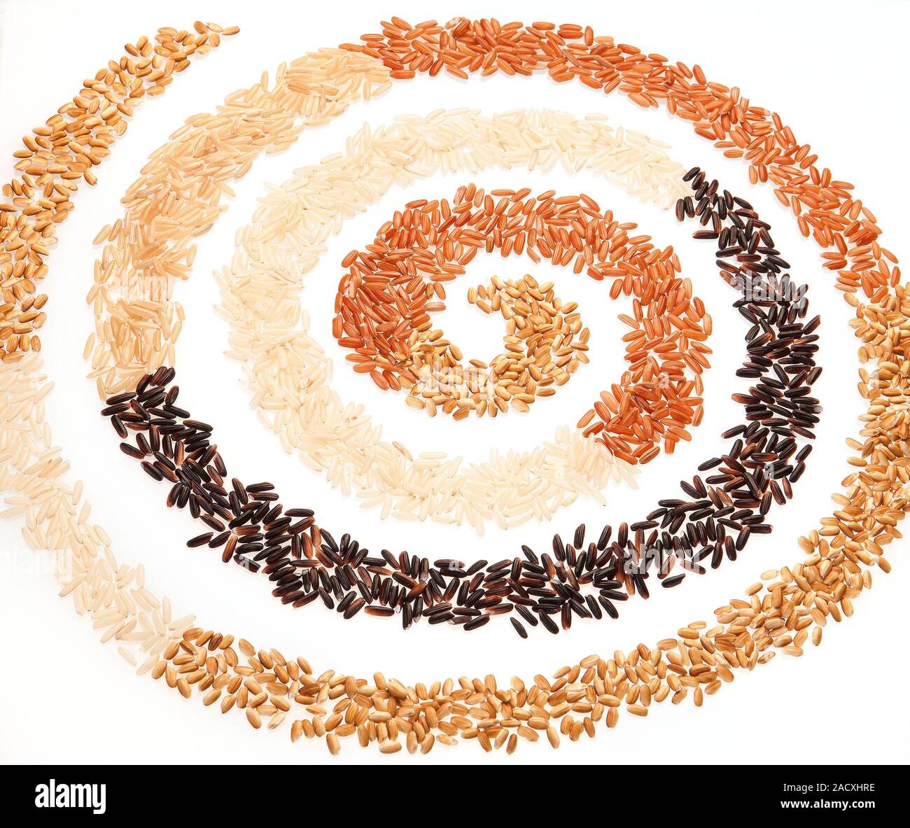 Rice bran types. Assortment of five colour classes of rice bran: white ...