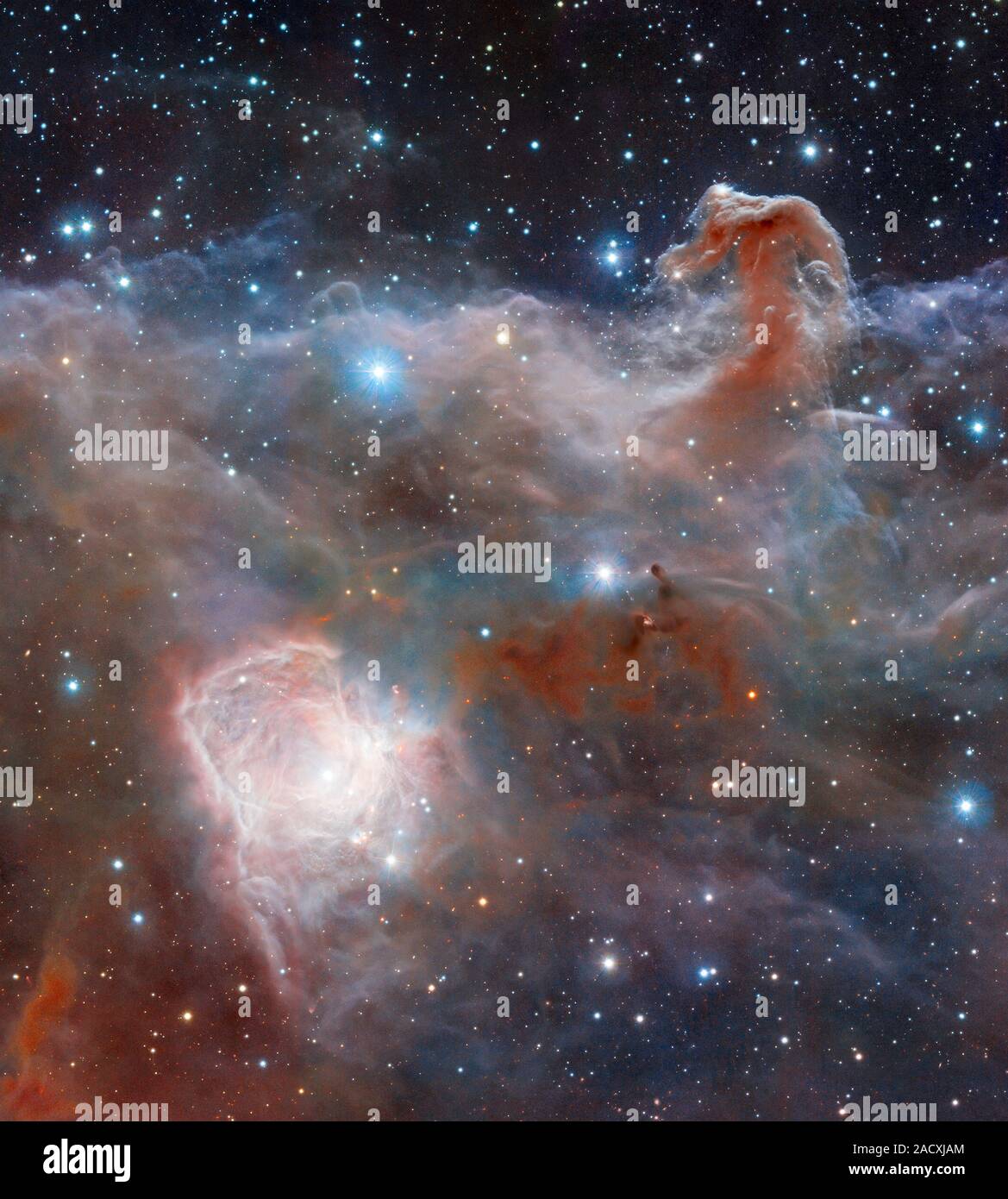 Horsehead nebula (Barnard 33). Infrared image of the Horsehead nebula ...