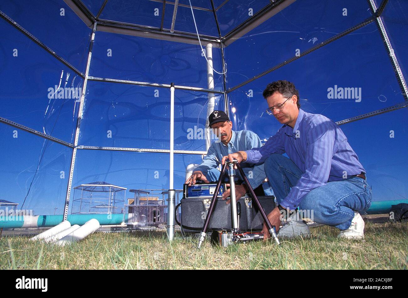 Prairie grass photosynthesis research. Plant physiologists using gas ...