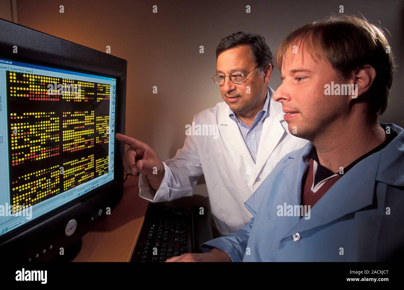 Campylobacter bacterial genetics research. Microbiologists examining a ...