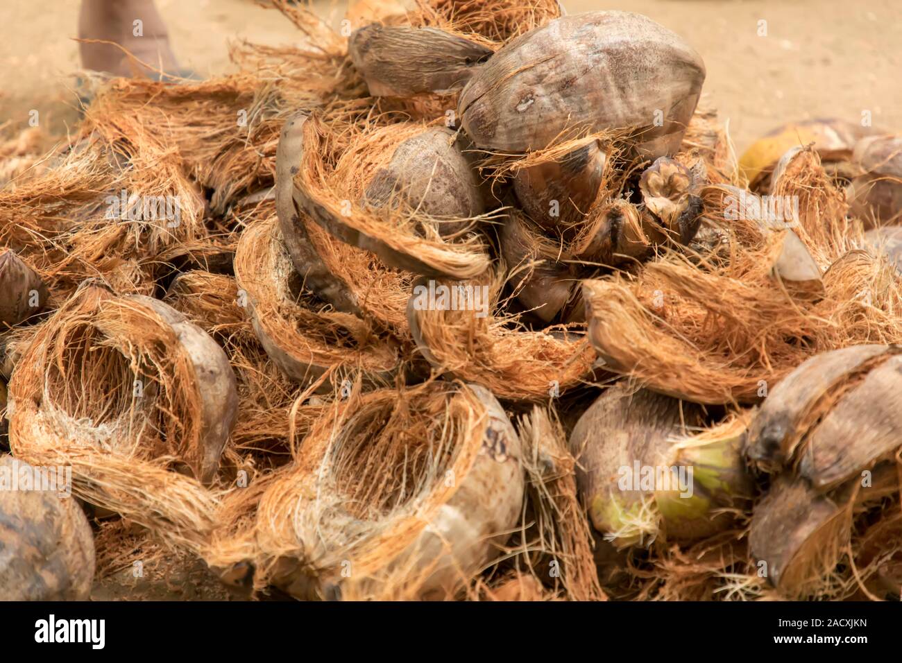 Coconut Peeler High Resolution Stock Photography and Images - Alamy