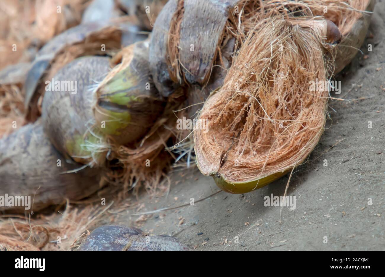 a pile of coconut coir or coconut shell on grass Stock Photo - Alamy