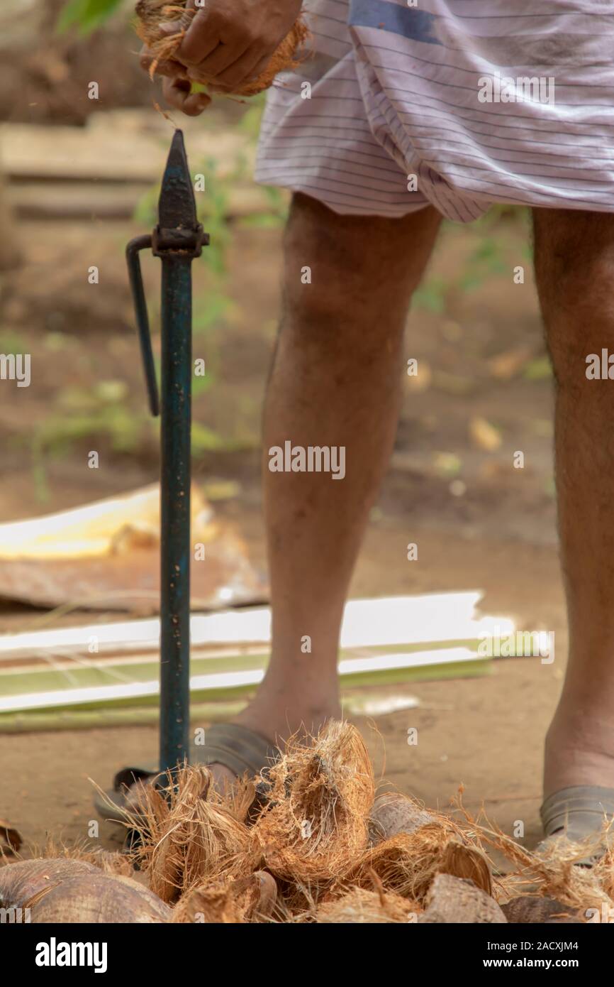 Man open coconut shell by old knife, Closeup Stock Photo - Alamy