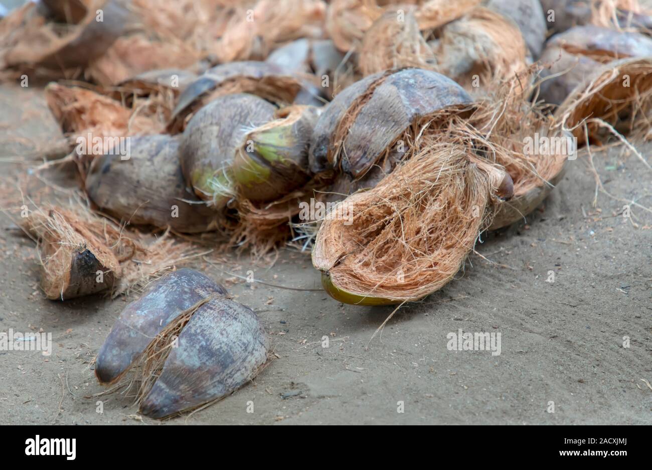 a pile of coconut coir or coconut shell on grass Stock Photo - Alamy