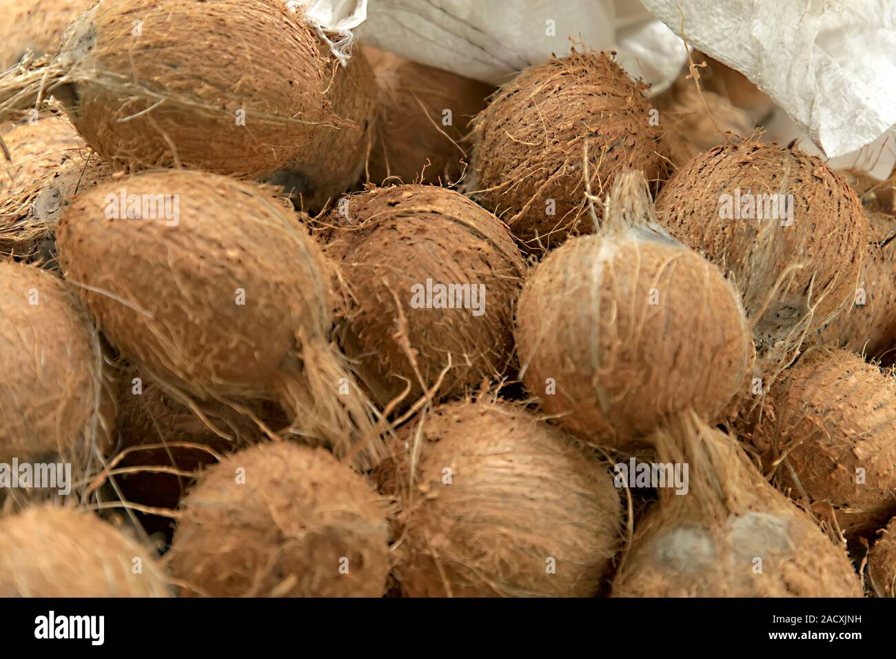 Pile of coconuts in the food market Stock Photo - Alamy